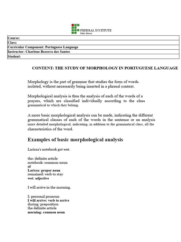 Morphological Analysis in Portuguese | PDF | Grammatical Gender ...