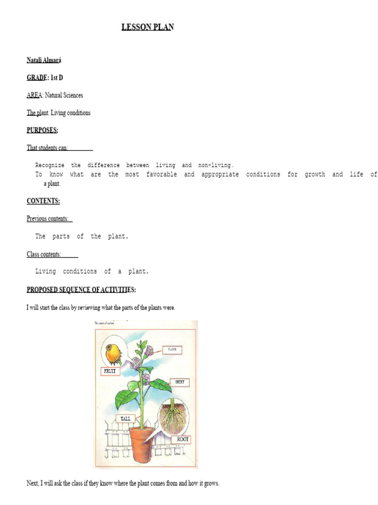 Natural Sciences Lesson Plan | PDF | Seed | Plants