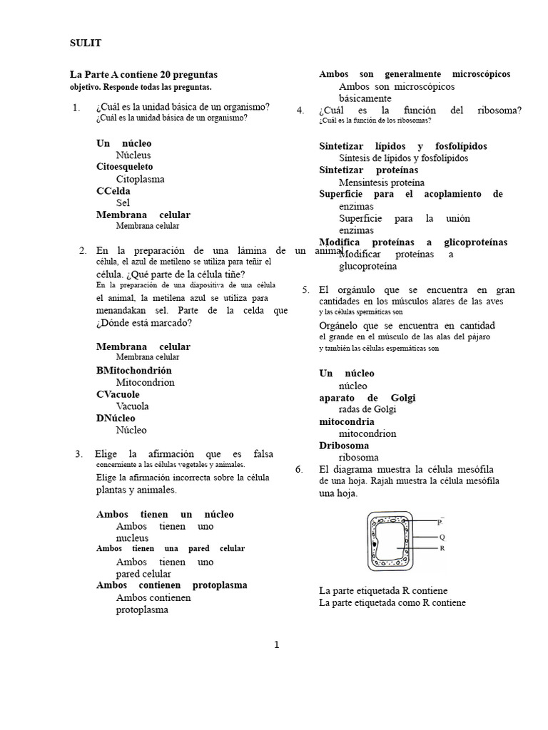 Pregunta UP 1 BIO Form 4 | PDF | Membrana biológica | Biología Celular)