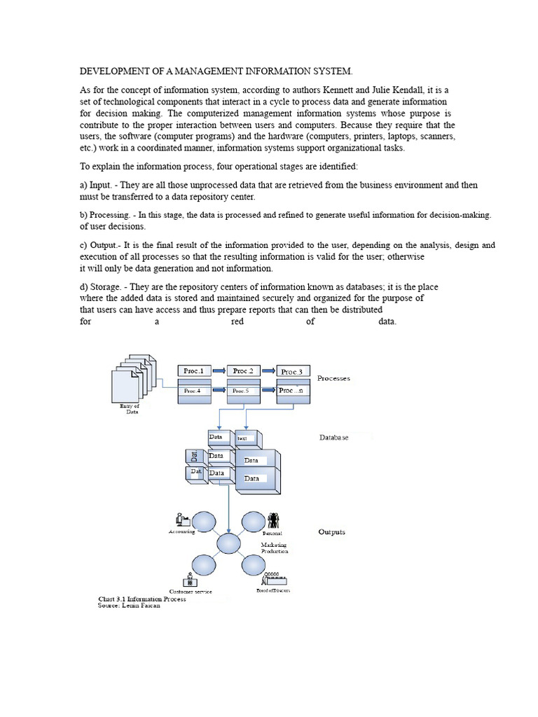 Management Information System Overview | PDF | System | Information