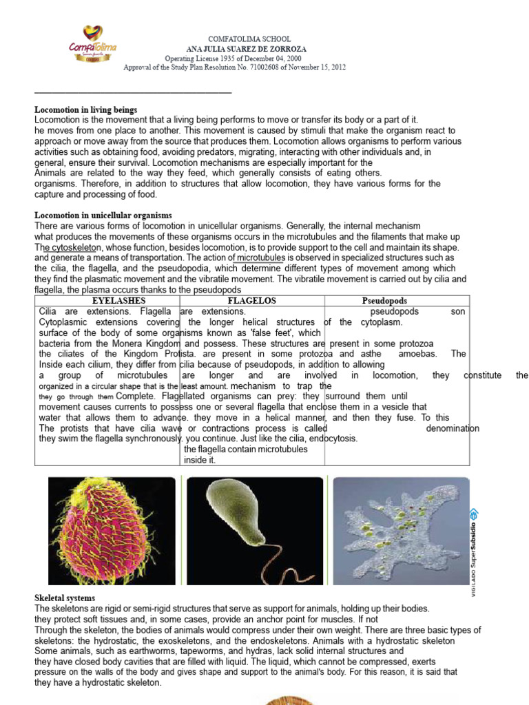 Locomotion in Animals | PDF | Skeleton | Biology
