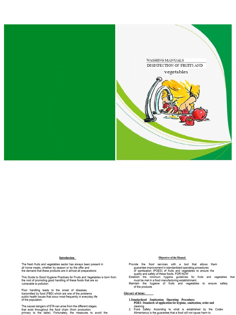 Hygiene Practices for Fruits and Vegetables | PDF | Bleach | Disinfectant