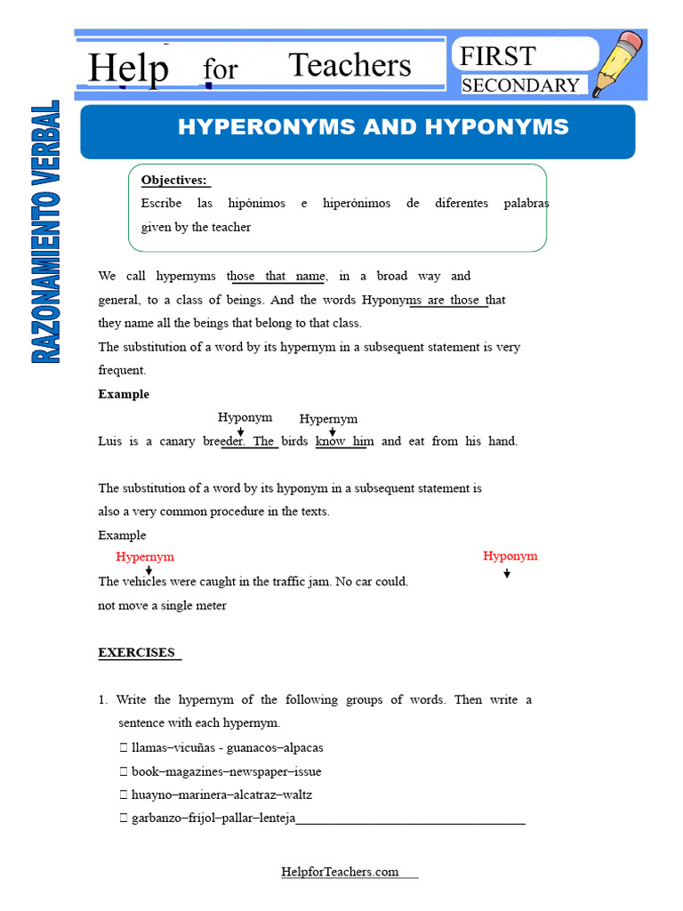 Hypernyms and Hyponyms For First Year of Secondary School | PDF