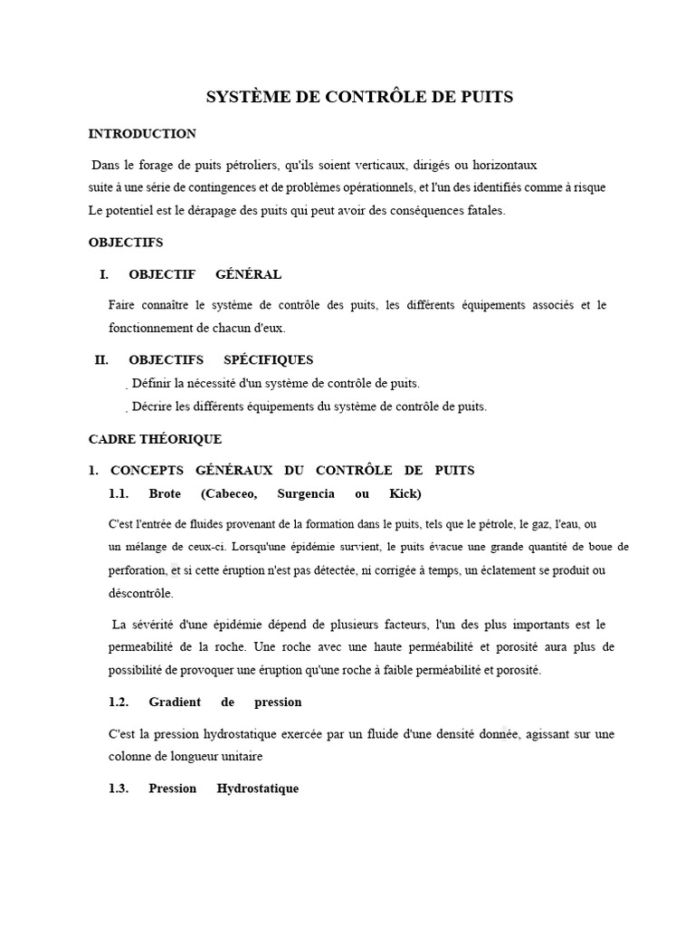Système de contrôle de puits pétroliers | PDF | Forage | Soupape