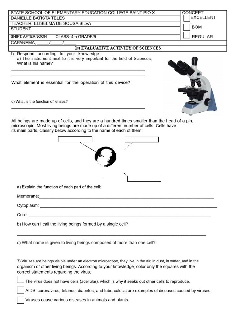 4th Grade Science Test | PDF | Bacteria | Virus