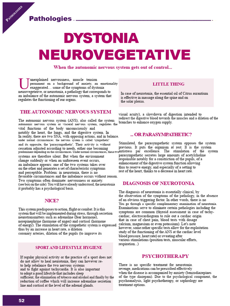 Neurovegetative Dystonia | PDF | Autonomic Nervous System | Heart