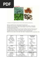 All Wolf Ranks - Powerful Wolves PDF | PDF | Pack (Canine)