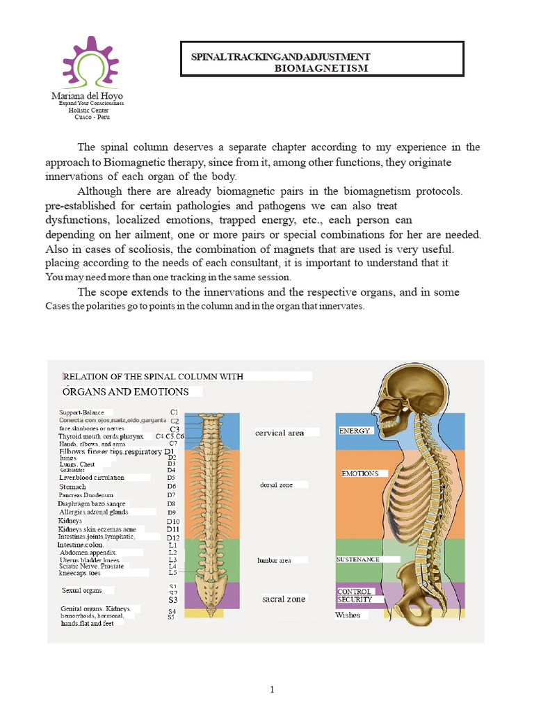 Spinal Tracking in Biomagnetic Therapy | PDF | Vertebra ...