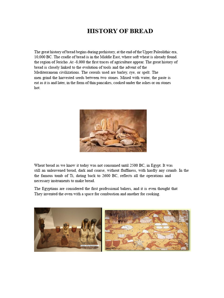 History and Types of Bread Explained | PDF | Breads | Sourdough