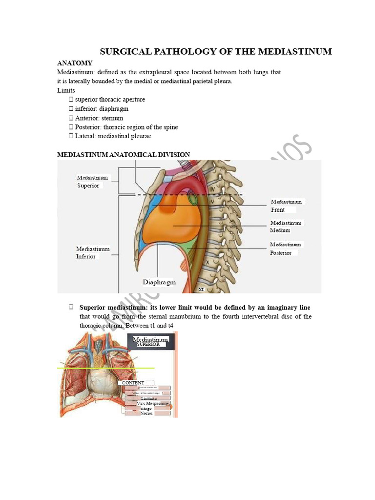 Surgical Pathology of The Mediastinum | PDF | Thorax | Thymus