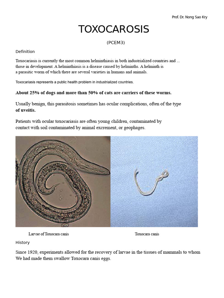 Toxocariasis 1 3em 12 | PDF | Medical Specialties | Parasitology