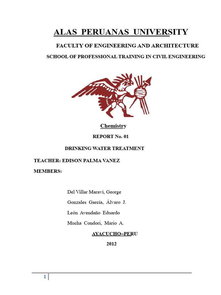 Water Treatment Report | PDF | Water Purification | Sewage Treatment