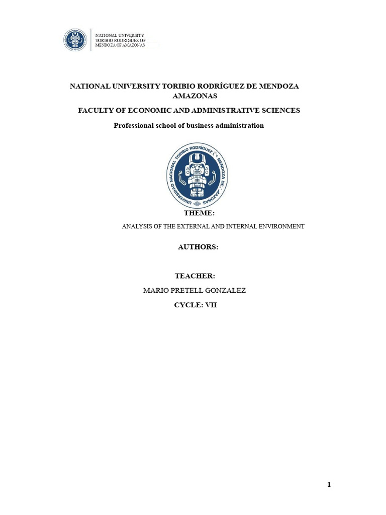 Internal and External Analysis | PDF | Economies Of Scale | Swot Analysis