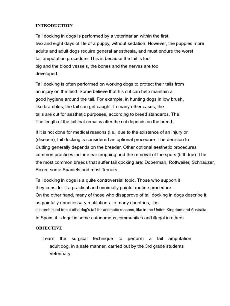 Caudectomy | PDF | Surgery | Anesthesia