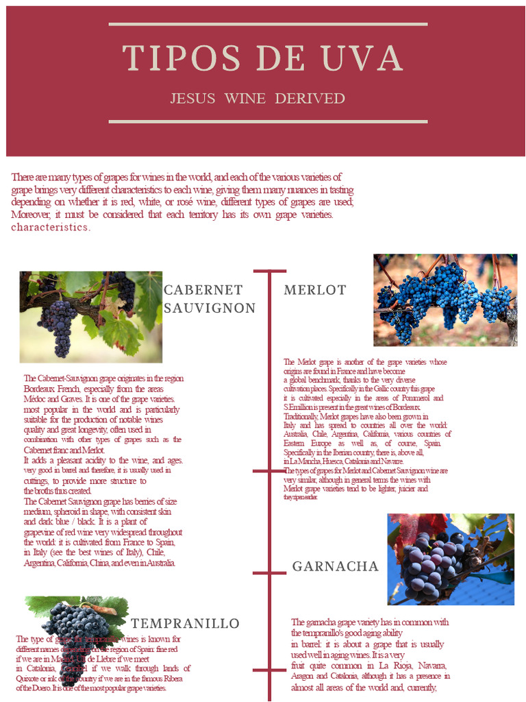 Grape Varieties for Quality Wines | PDF | Wine | Grape