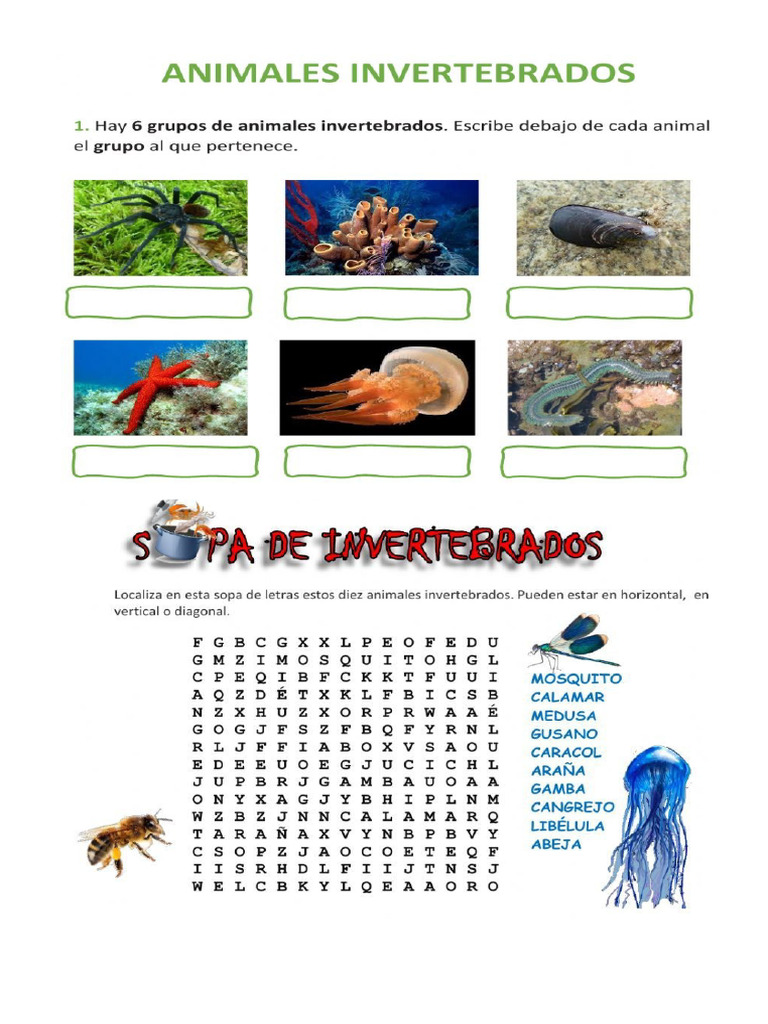 Animaux Vertébrés Et Invertébrés 5A | PDF