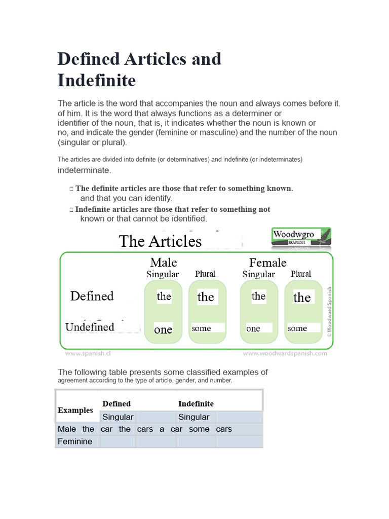 Definite and Indefinite Articles | PDF