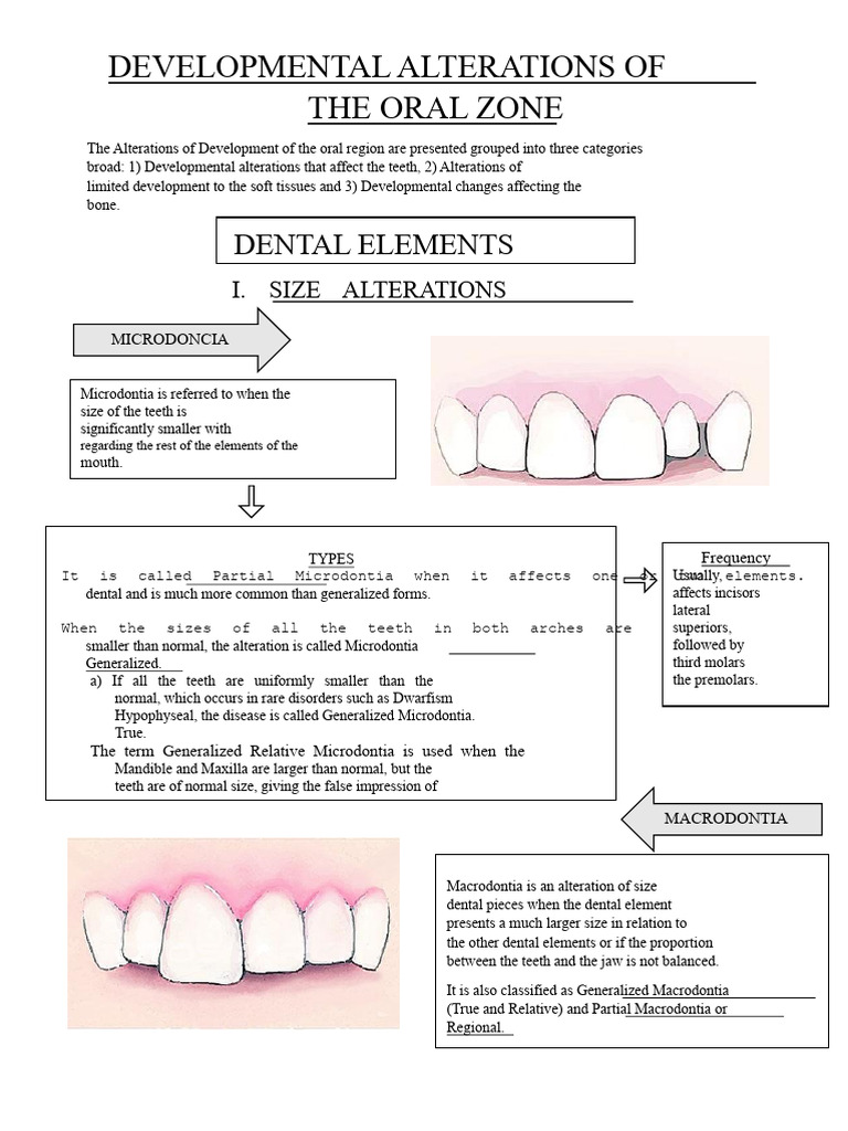 Alterations in The Development of The Oral Area | PDF | Dental Anatomy ...