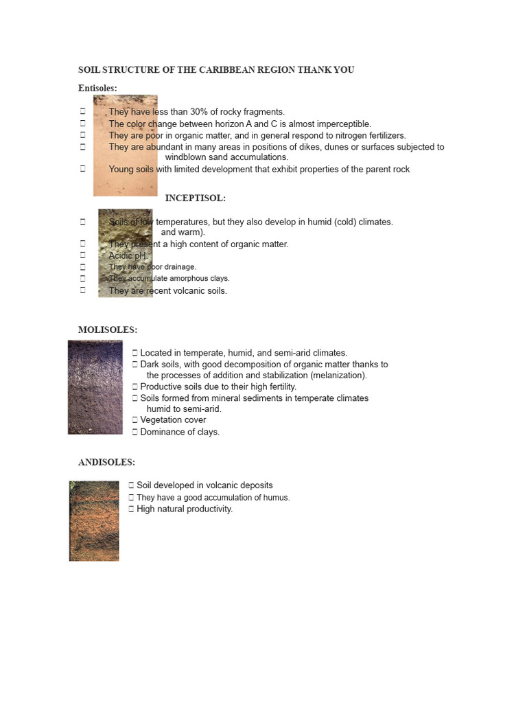 Soil Types of the Caribbean Region | PDF | Soil | Earth Sciences