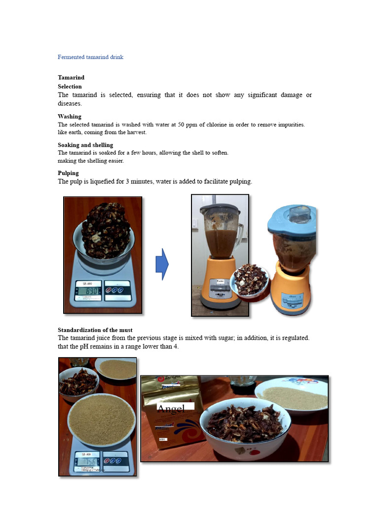 Fermented Tamarind Drink | PDF