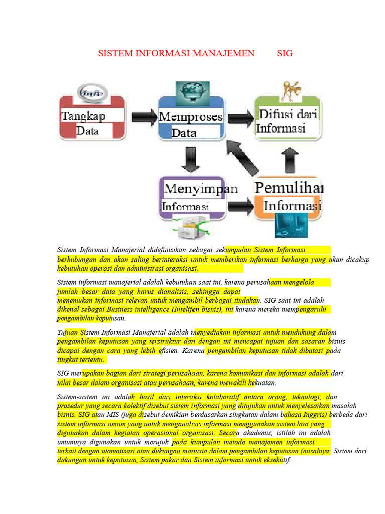 Sistem Informasi Manajemen Lengkap | PDF