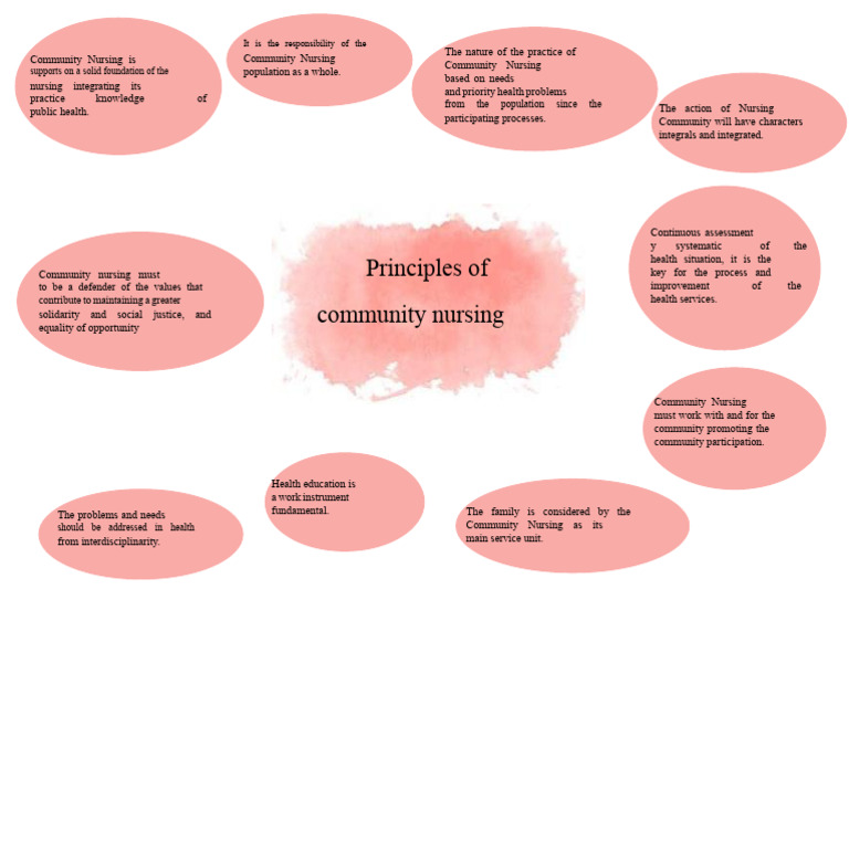Conceptual Map, Principles of Community Nursing | PDF ...