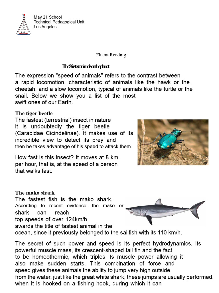 The 5 Fastest Animals On The Planet | PDF | Sharks | Animal Locomotion