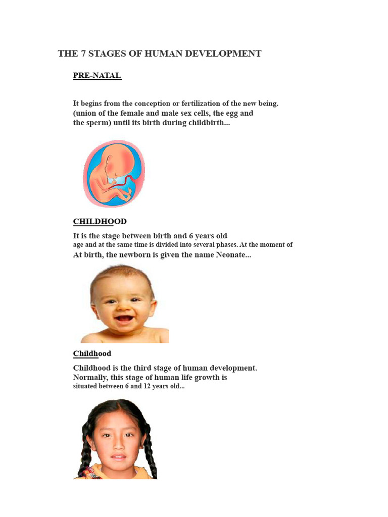 7 Stages of Human Development Explained | PDF