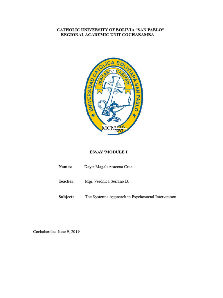 Social Work From The Systemic Approach | PDF | System | Complexity