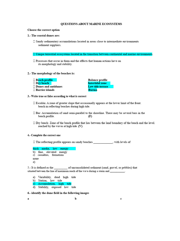 Marine Ecosystem Questions 2 | PDF | Dune | Beach