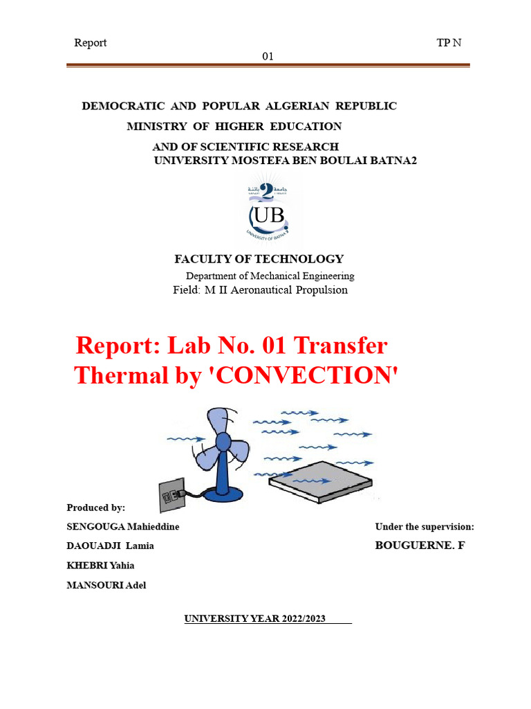 TP2 Thermal Transfer by Convection | PDF | Heat Transfer | Convection