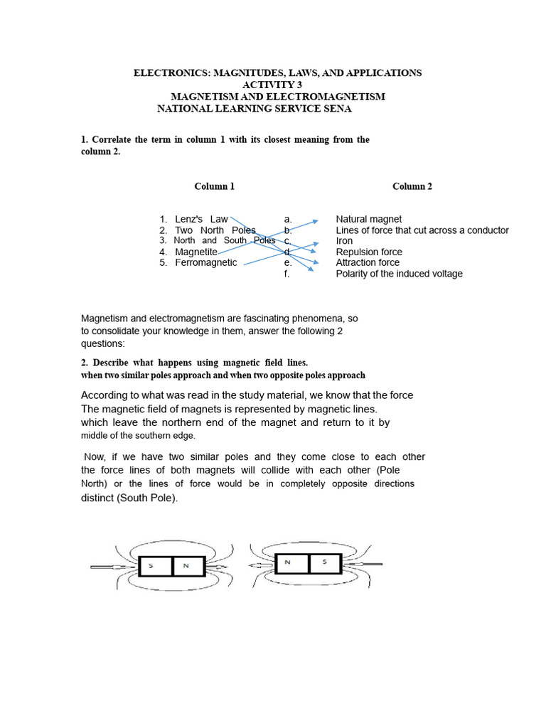 Solution Workshop Activity 3 | PDF | Magnet | Magnetism