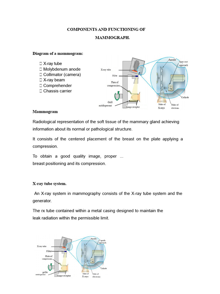 Components and Functioning of The Mammographer | PDF