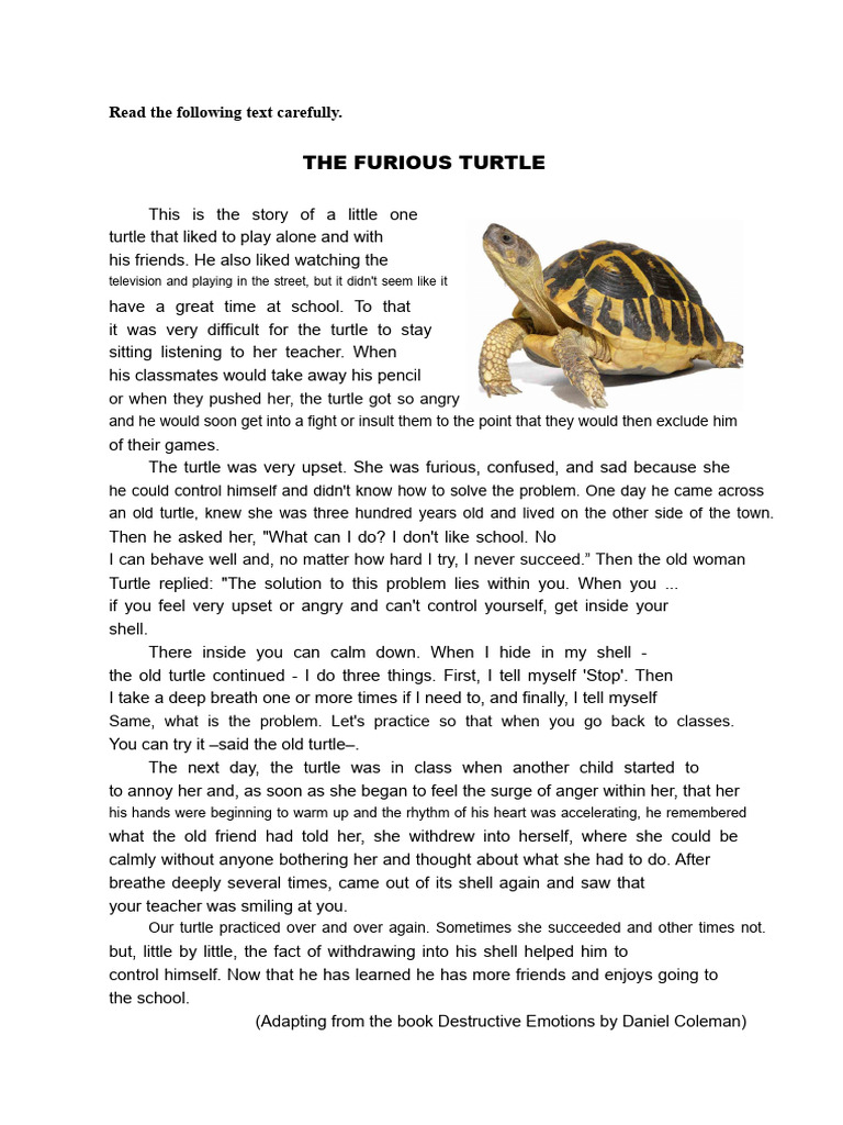The Furious Turtle | PDF