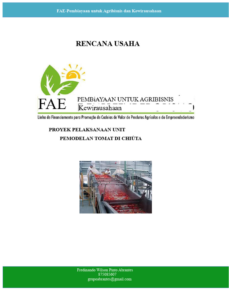 Pembiayaan Proyek Saus Tomat Chiúta | PDF