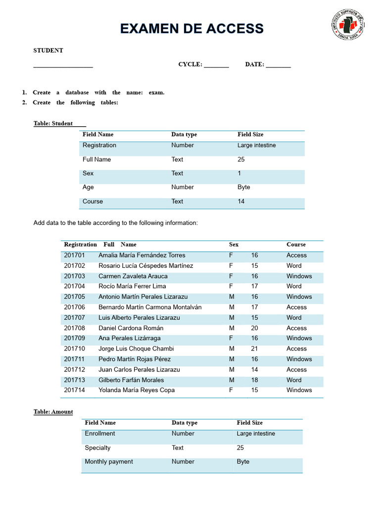 Access Exam | PDF | Computing