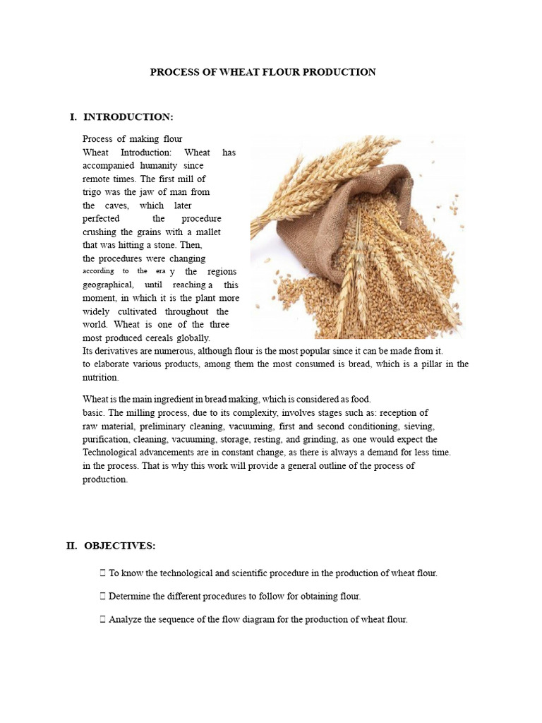Wheat Flour Production Process Guide | PDF | Flour | Cereals