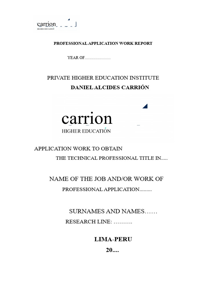 Final Report Model For Professional Application Work | PDF