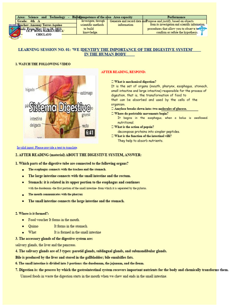 Application Sheet Digestive System | PDF | Digestion | Gastrointestinal ...