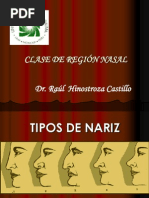 Anatomía de las Regiones Faciales | PDF | Anatomía humana | Anatomía