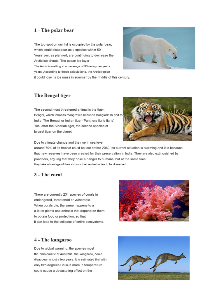 Extinct Species and Species at Risk of Extinction | PDF | Tiger ...
