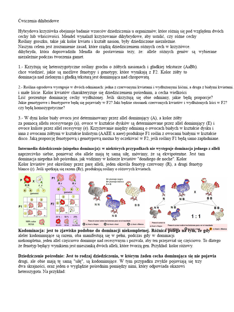 Przewodnik Po 2. Prawie Mendla I Kodominacji | PDF
