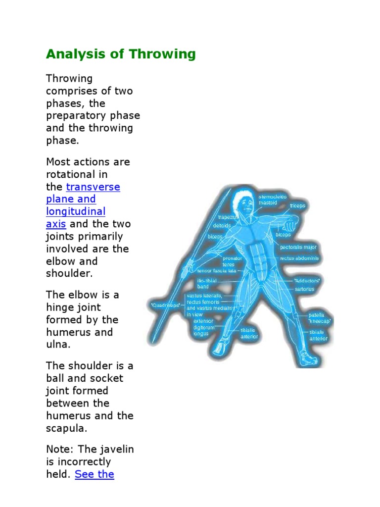 Javelin | PDF | Anatomical Terms Of Motion | Shoulder