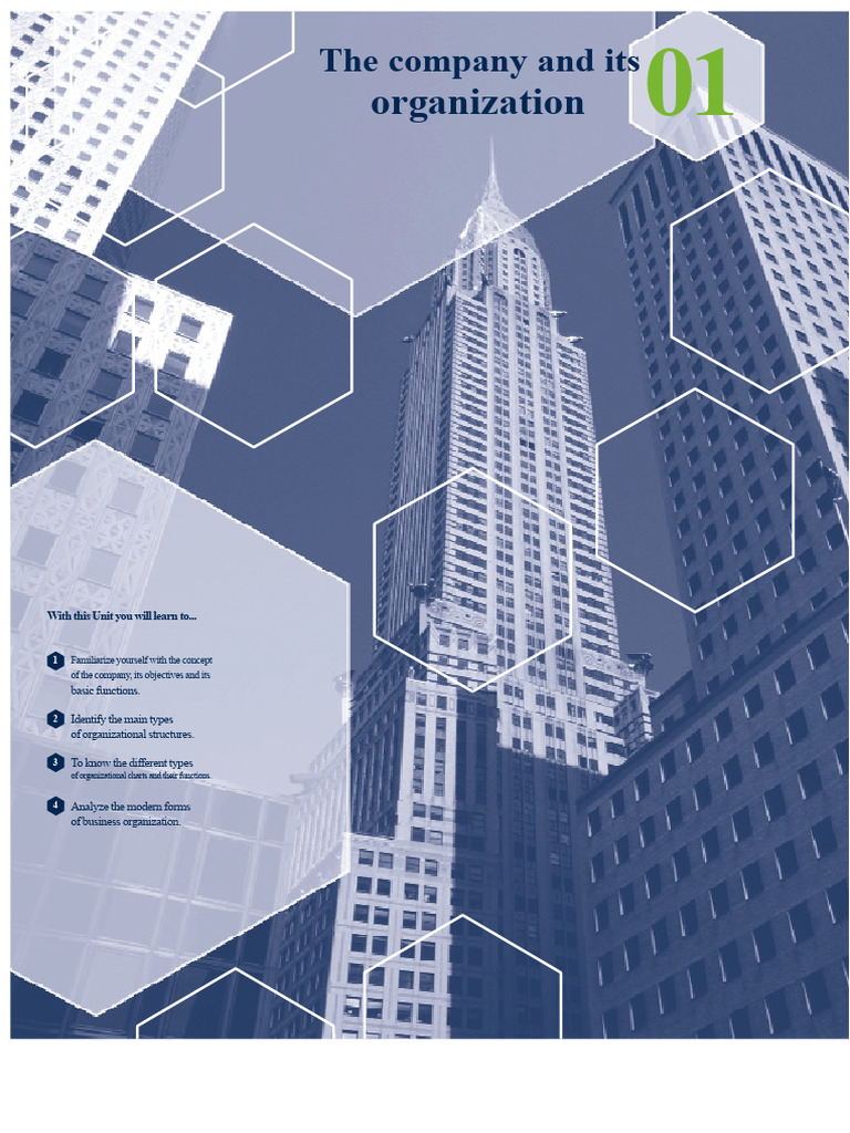 Reading 1. The Company and Its Organization | PDF | Organizational ...