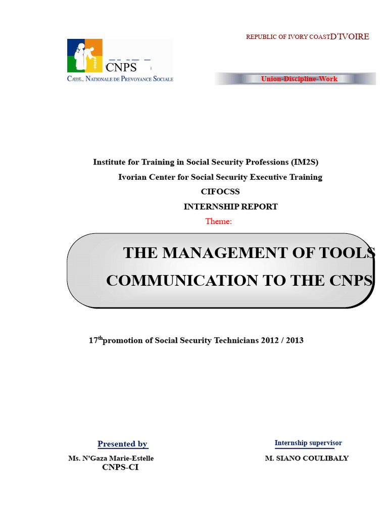 The Management of Communication Tools at The CNPS | PDF | Communication ...