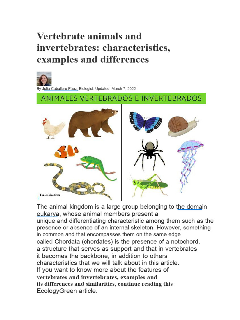 Vertebrate and Invertebrate Animals | PDF | Invertebrate | Vertebrates