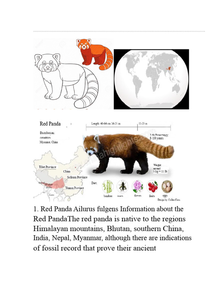 Notes For Red Panda Research | PDF | Giant Panda | Zoology