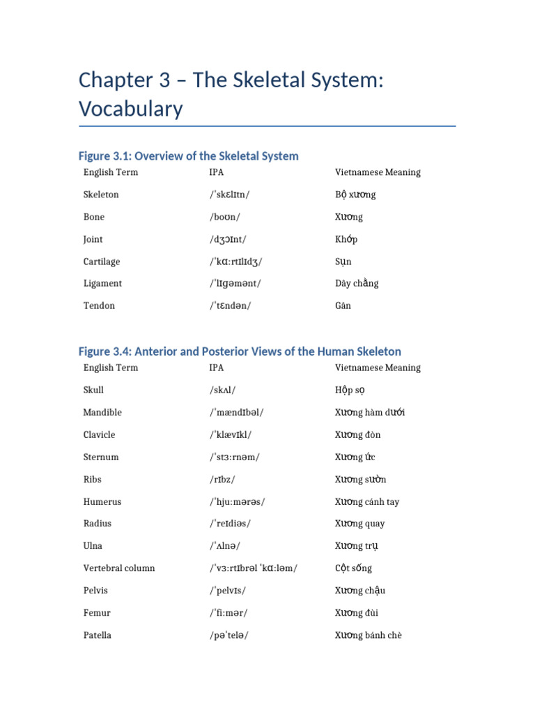 Chapter3 Skeletal System Vocabulary | PDF