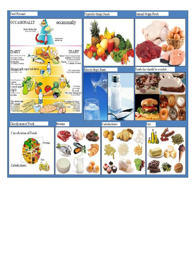 Classification of Foods and Food Pyramid With Animal Letters Images ...