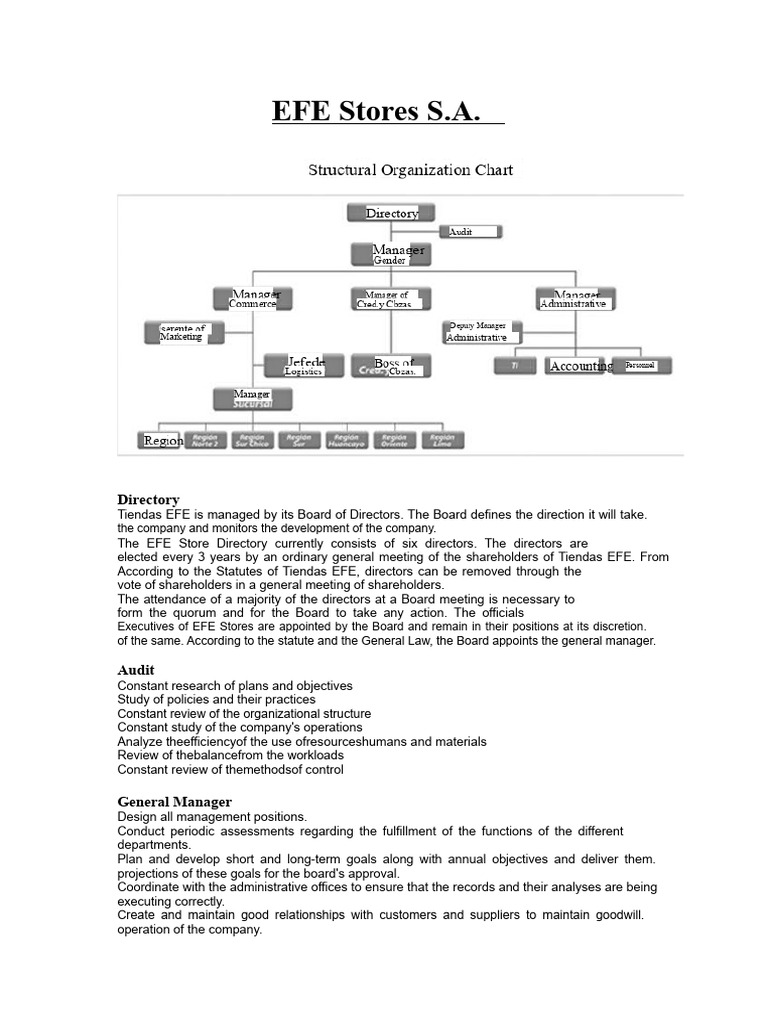 EFE Stores S.A. Management Structure Overview | PDF | Sales | Credit